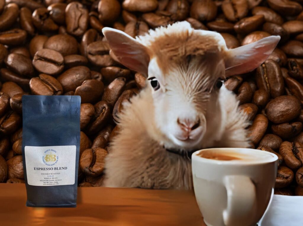 HOW AN ETHIOPIAN GOAT HERDER CHANGED THE WORLD - Berk's Beans Coffee