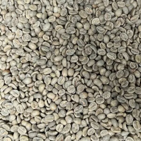 Berk's Beans Coffee | Fresh-Roasted Specialty Beans