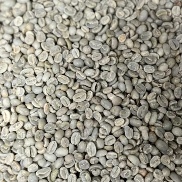 Berk's Beans Coffee | Fresh-Roasted Specialty Beans