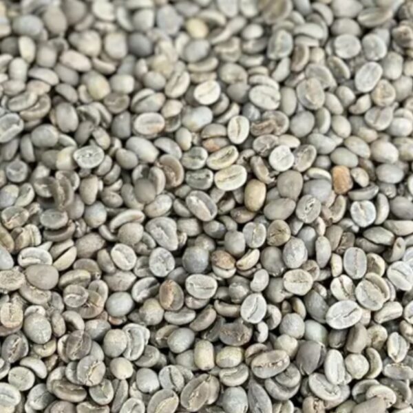 Berk's Beans Coffee | Fresh-Roasted Specialty Beans